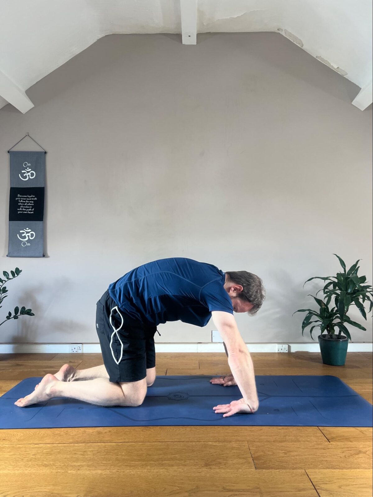 Peacock Pose (Mayurasana): Techniques & Benefits