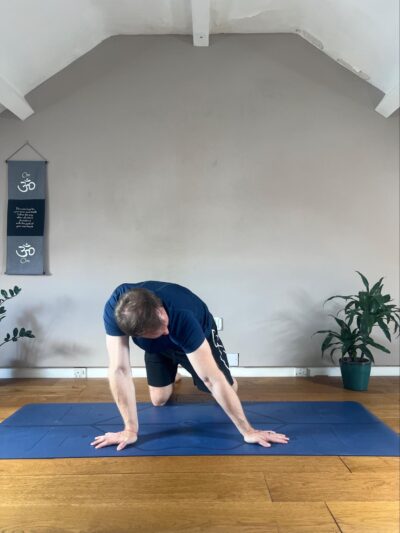 Peacock Pose (Mayurasana): Techniques & Benefits