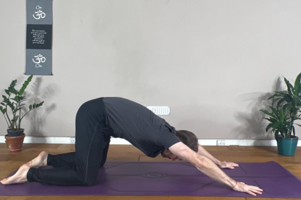 Downward Facing Dog Pose Guide | Benefits, Tips, and Variations